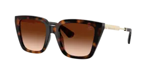 Burberry Sunglasses Brown Gradient