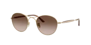Giorgio Armani AR6177 Sunglasses Gradient Brown