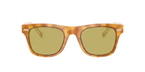 Brunello Cucinelli Bc4002s Sunglasses - Bronte