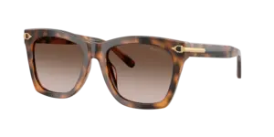 Ralph Lauren RL8235U Sunglasses Gradient Brown