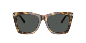 Ralph Lauren Rl8235u Sunglasses - Grey