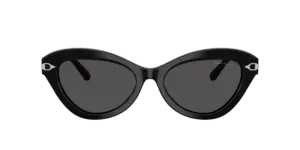 Ralph Lauren Rl8236u Sunglasses - Dark Grey