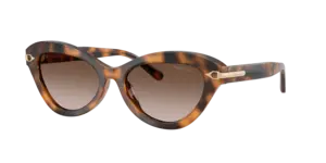 Ralph Lauren Sunglasses - Gradient Brown