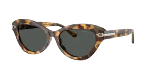 Ralph Lauren Sunglasses - Grey