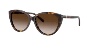 Tiffany & Co. Sunglasses Brown Gradient