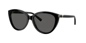 Tiffany & Co. Sunglasses Dark Grey