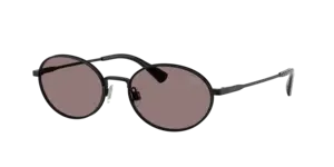 Polo Ralph Lauren Polo Ralph Lauren Sunglasses Dark Purple