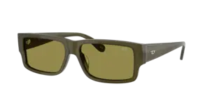 DIESEL DL2003 Sunglasses Green