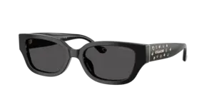COACH Sunglasses Grey Solid