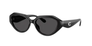 COACH Sunglasses Grey Solid