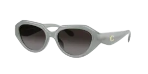 COACH Coach Sunglasses Grey