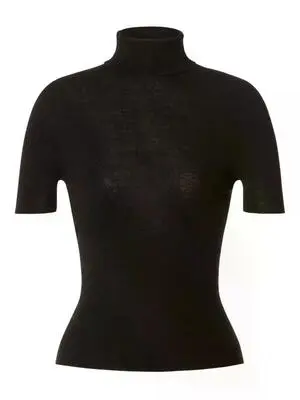 Alberta Ferretti Roll-neck Top