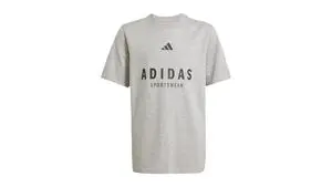 Adidas All Szn Graphic Tee Shirt - Medium Grey Heather/black