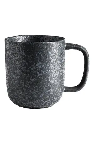 STONE + LAIN Tom Stoneware 4-piece Mug Set - Black And White