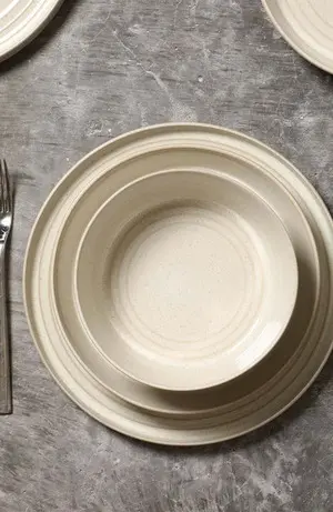 STONE + LAIN Claire Stoneware 4-piece Dinner Plate Set