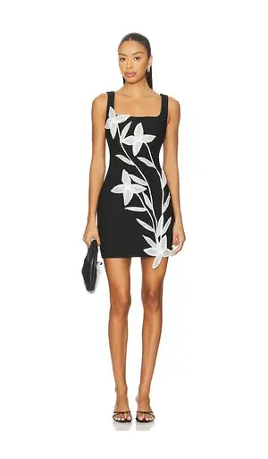 Elliatt Applique Cocktail Dresses