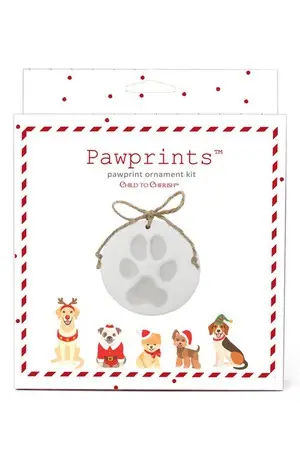 CHILD TO CHERISH Pawprints™ Ornament Making Kit