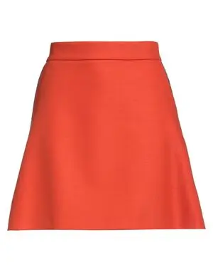 Fabiana Filippi Flared Mini Skirt