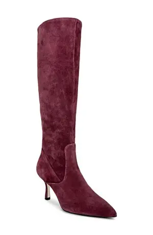 L'agence Pointed Toe Boots For Women