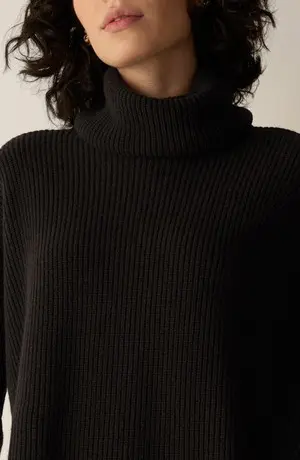 Eileen Fisher Ribbed Turtleneck Sweater