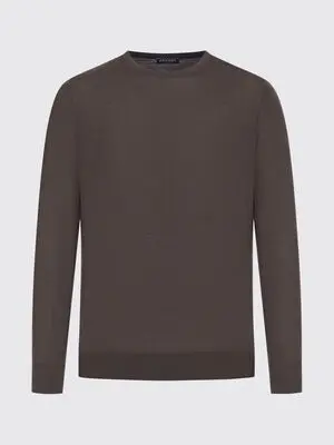 Zegna Sweater - Brown