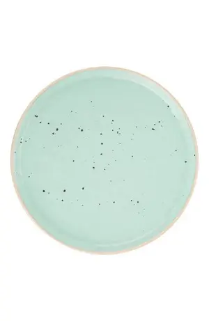 STONE + LAIN Elena Stoneware 4-piece Dinner Plate Set