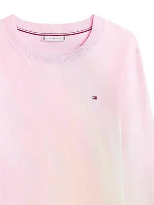 Tommy Hilfiger Logo Crew-neck Sweater