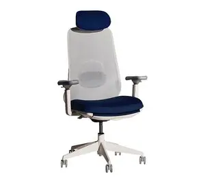TOPJOB Voya Ergonomic Chair - One-color