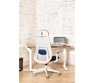 TOPJOB Voya Ergonomic Chair