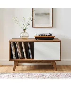 MODWAY Envision Vinyl Record Display Stand