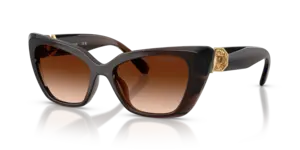 SWAROVSKI Cat Eye Sunglasses - Transparent Brun