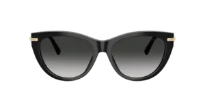 Tiffany & Co. Cat-eye Sunglasses - Black