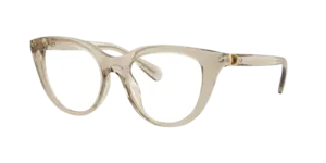 SWAROVSKI Optical Frame SK2052 Transparent Beige