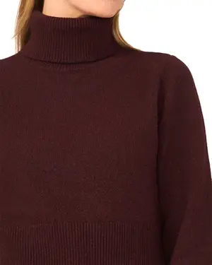 Ted Baker London Ciaran Turtleneck Sweater