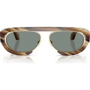 Giorgio Armani 57mm Oval Sunglasses - Horn Brown/grey