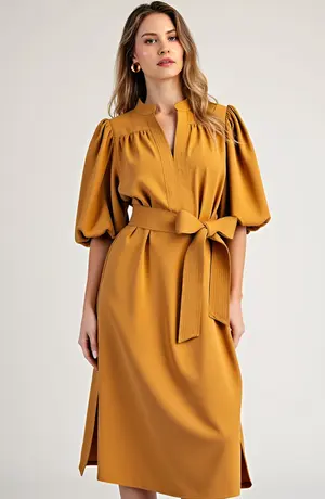 Modenaire Belted Day Dresses