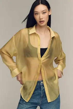 Anthropologie Sheer Long Sleeve Buttondown Shirt - Acacia