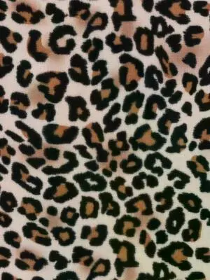Guess Leopard-print Scarf