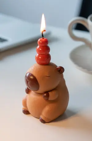 SOUTHLAKE GIFTS Capybara Candle