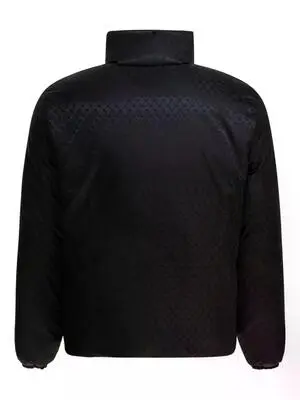 Alexander McQueen Zip-up Padded Jacket