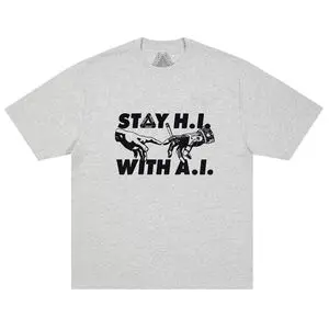 PALACE Indica T-shirt - Grey