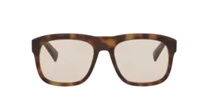 Saint Laurent Sl 558 Sunglasses - Brown