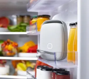 SHELFY Smart Fresh Fridge Air Filter & Deodorizer