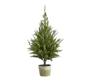 NEARLY NATURAL 3.5' Cedar Pine Tree In Decorati Ve Planter - One-color