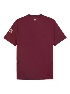 PUMA Manchester City 24/25 T-shirt