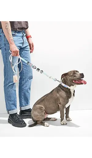 WILD ONE Collar In Blue