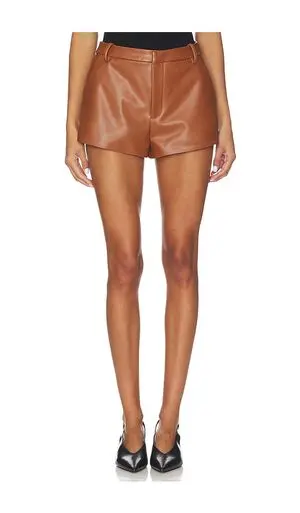 Camel Shorts