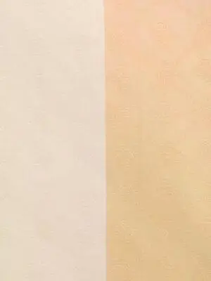 Guess Fringed Two-tone Scarf