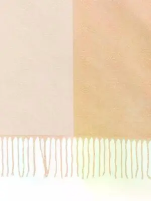 Guess Fringed Two-tone Scarf