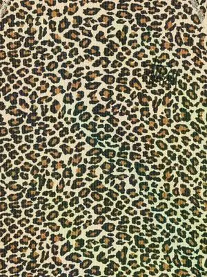 StÜssy Leopard-print Sweatshirt